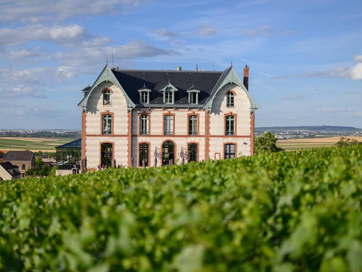Château de Sacy - Reims Tourisme