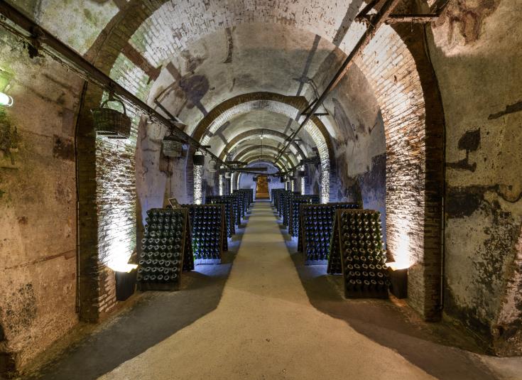 Must-See Visits in Reims - Top 10 attractions