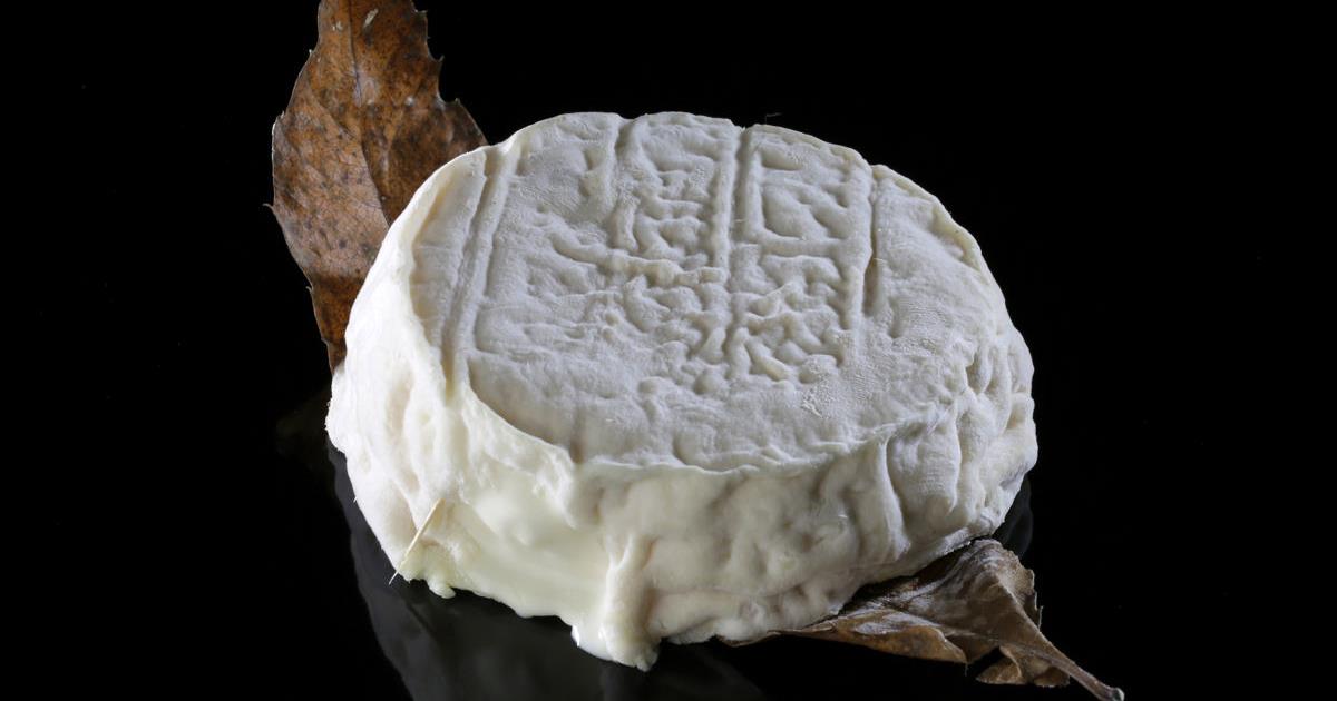 Fromages et vins du Boulingrin - Reims Gastronomie