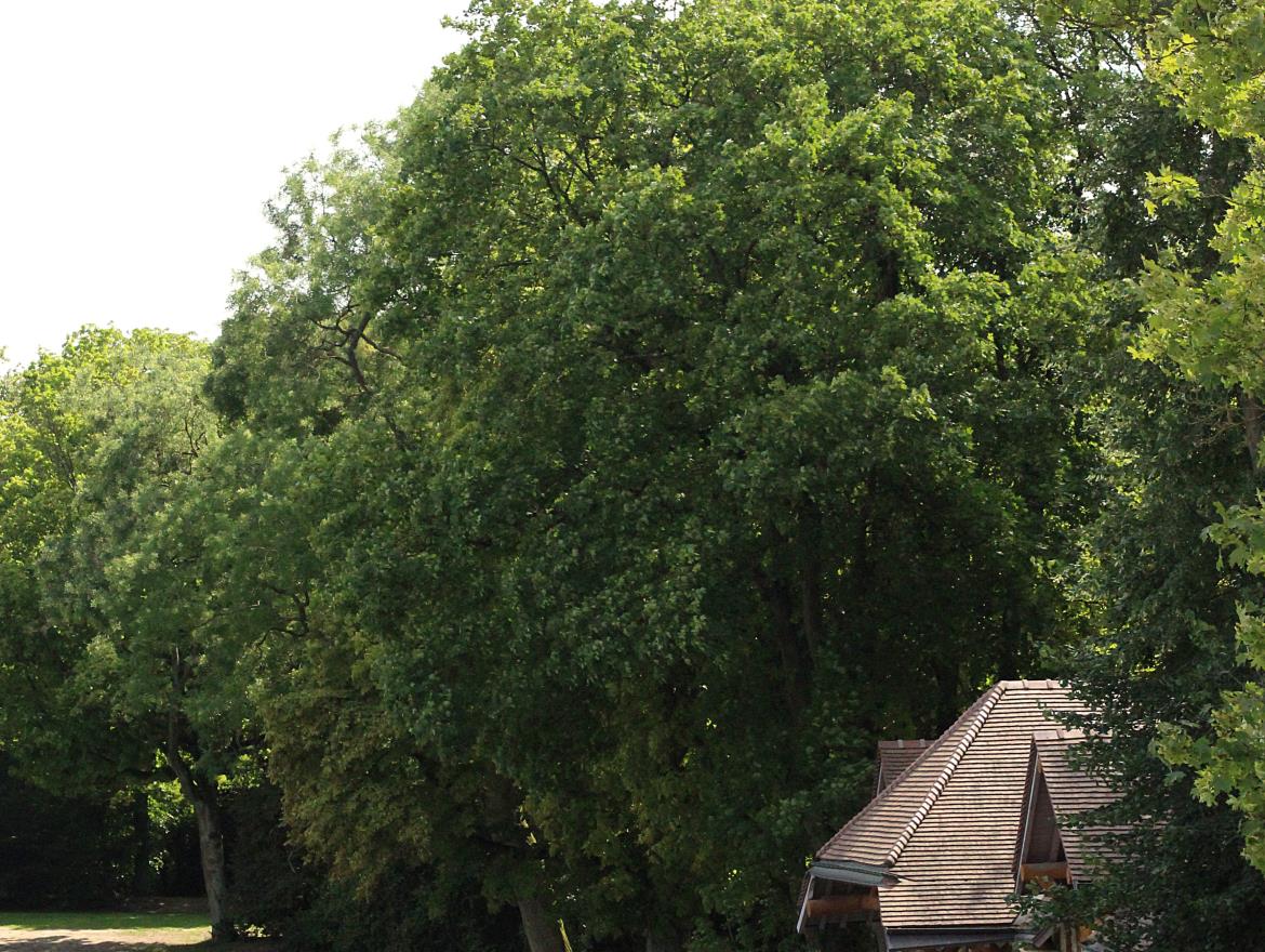 Parc de Champagne - Reims Tourisme